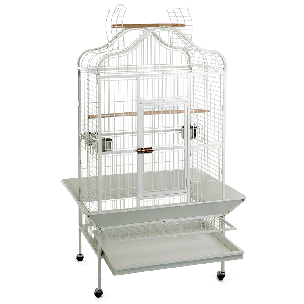 Gaiola Papagaio “London” – ANIMAL MAIS