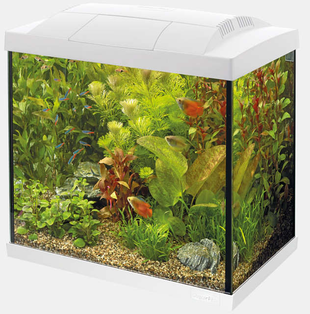SuperFish Start 30 Aquarium Kit – ANIMAL MAIS