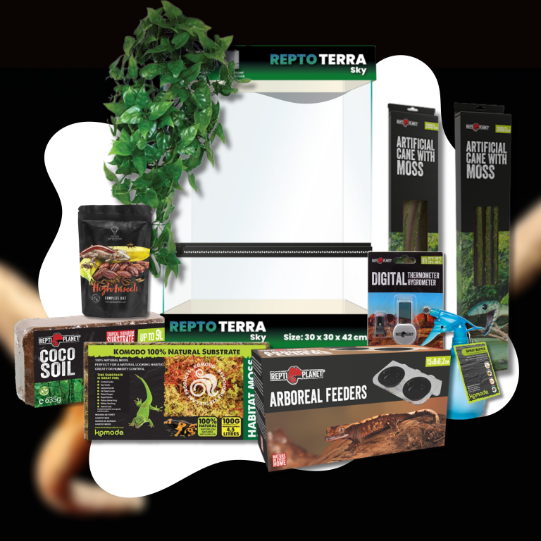 Kit Gecko Crestado START – ANIMAL MAIS