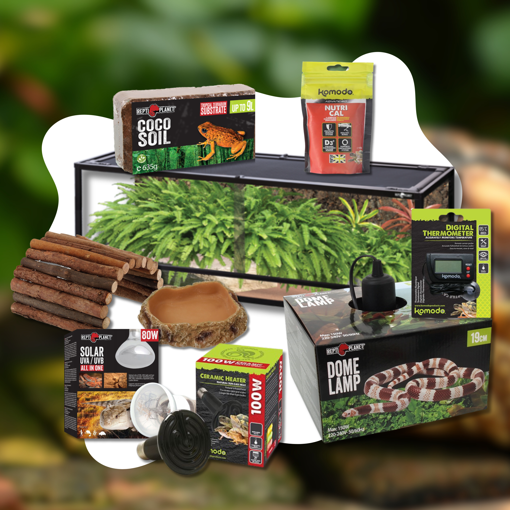 Kit Tartaruga Terrestre Start – ANIMAL MAIS